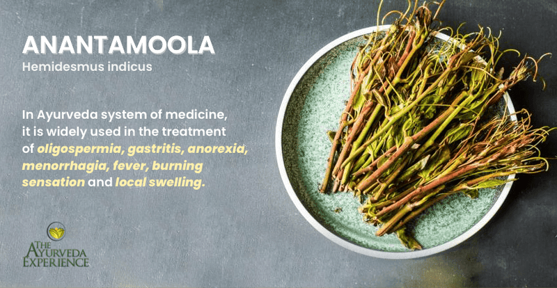 All about Anantamoola