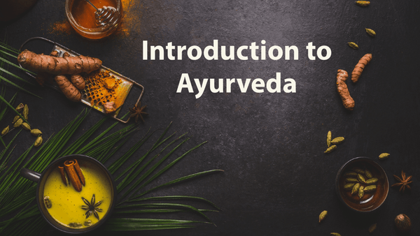 Introduction to Ayurveda