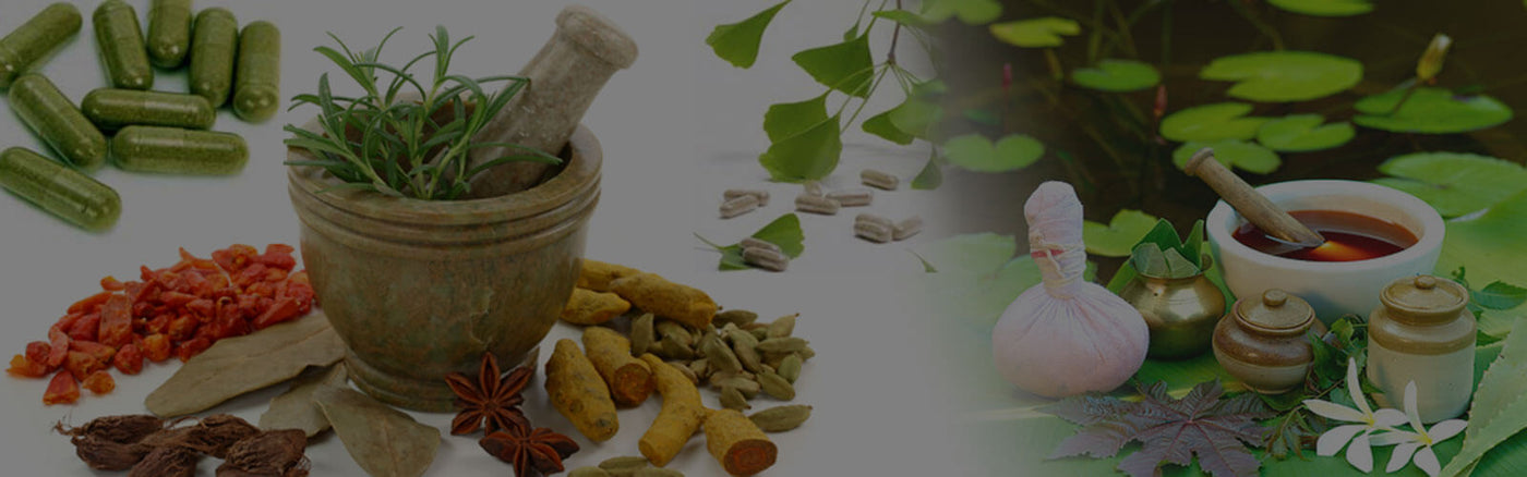 The Ayurveda Experience Blog